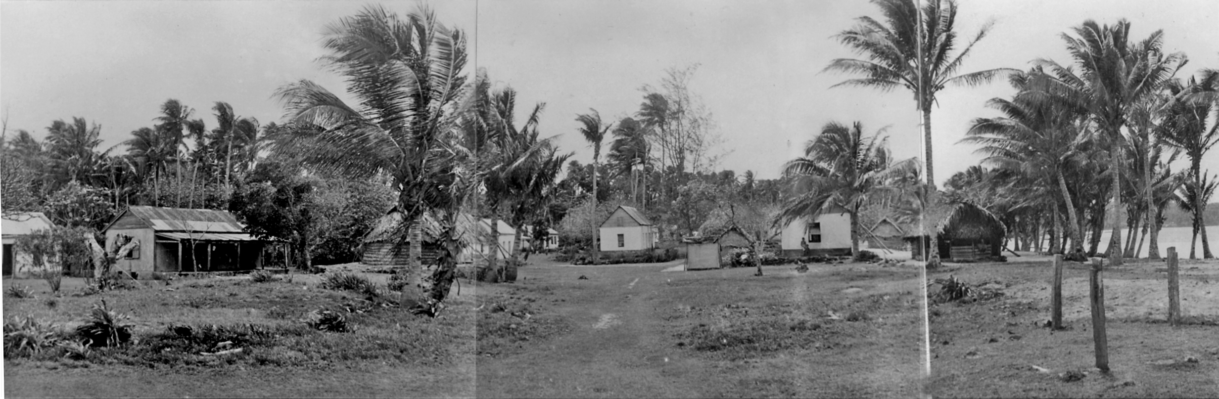 Download full size image