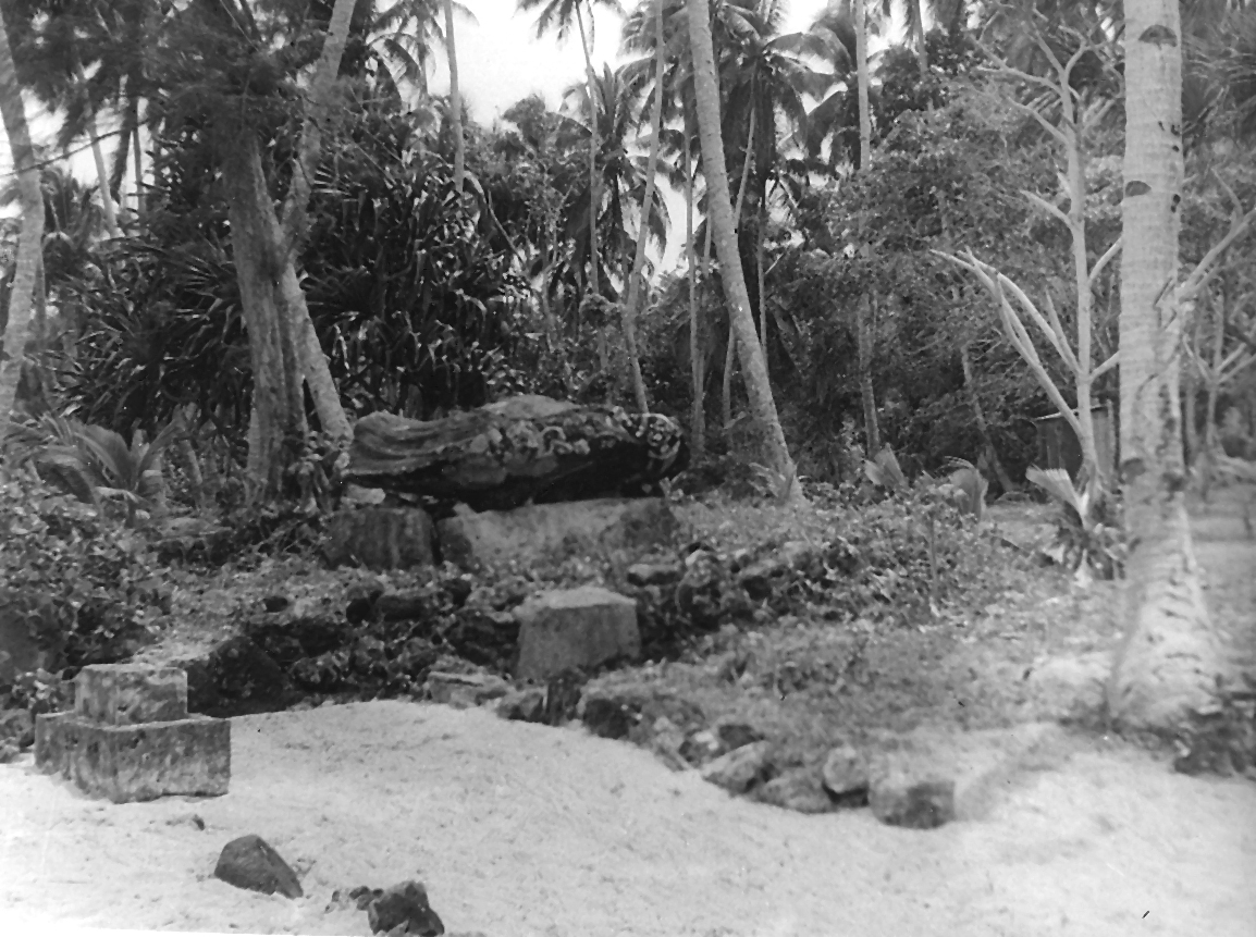 Download full size image