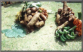 Rotuma Day on Rotuma