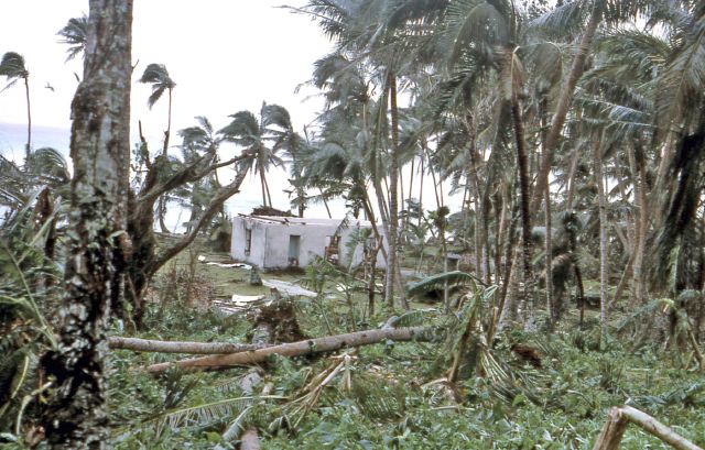 Download full size image